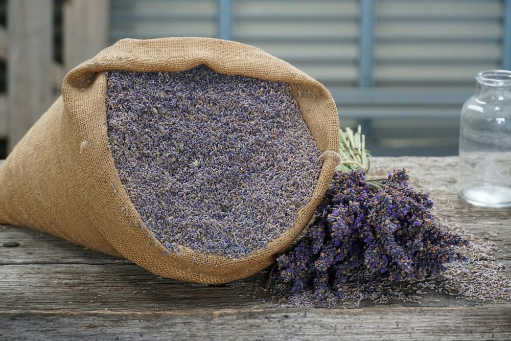 Pairing Exotic Oud Essential Oil with Other Essential Oils